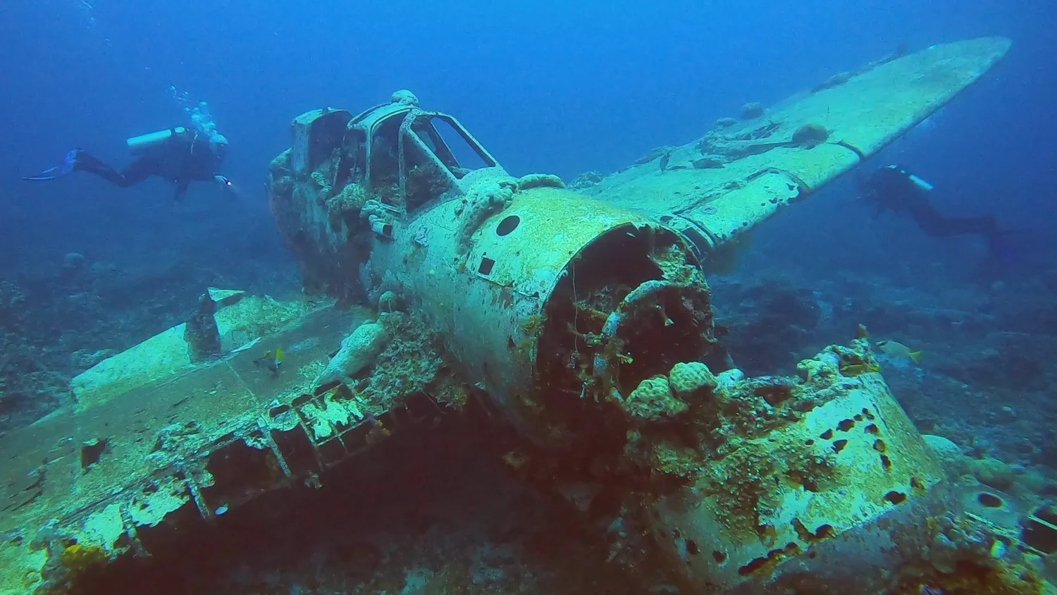 Dive Travel — AWOL Adventure Sports