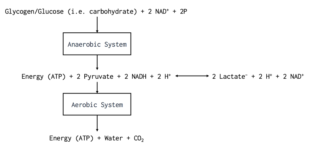 How To Train Your Anaerobic Capacity As A Cyclist — High North Performance