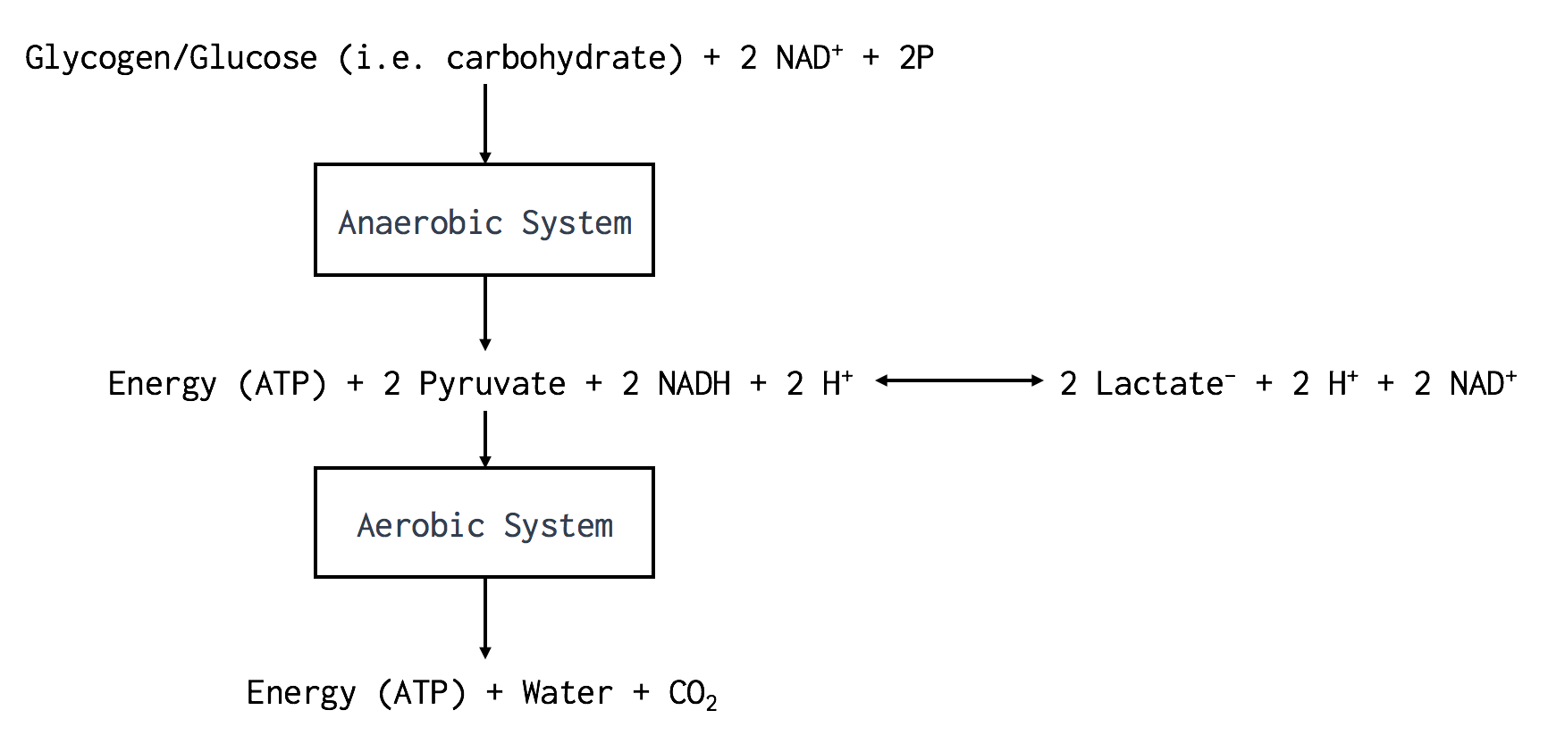 How To Train Your Anaerobic Capacity As A Cyclist — High North Performance