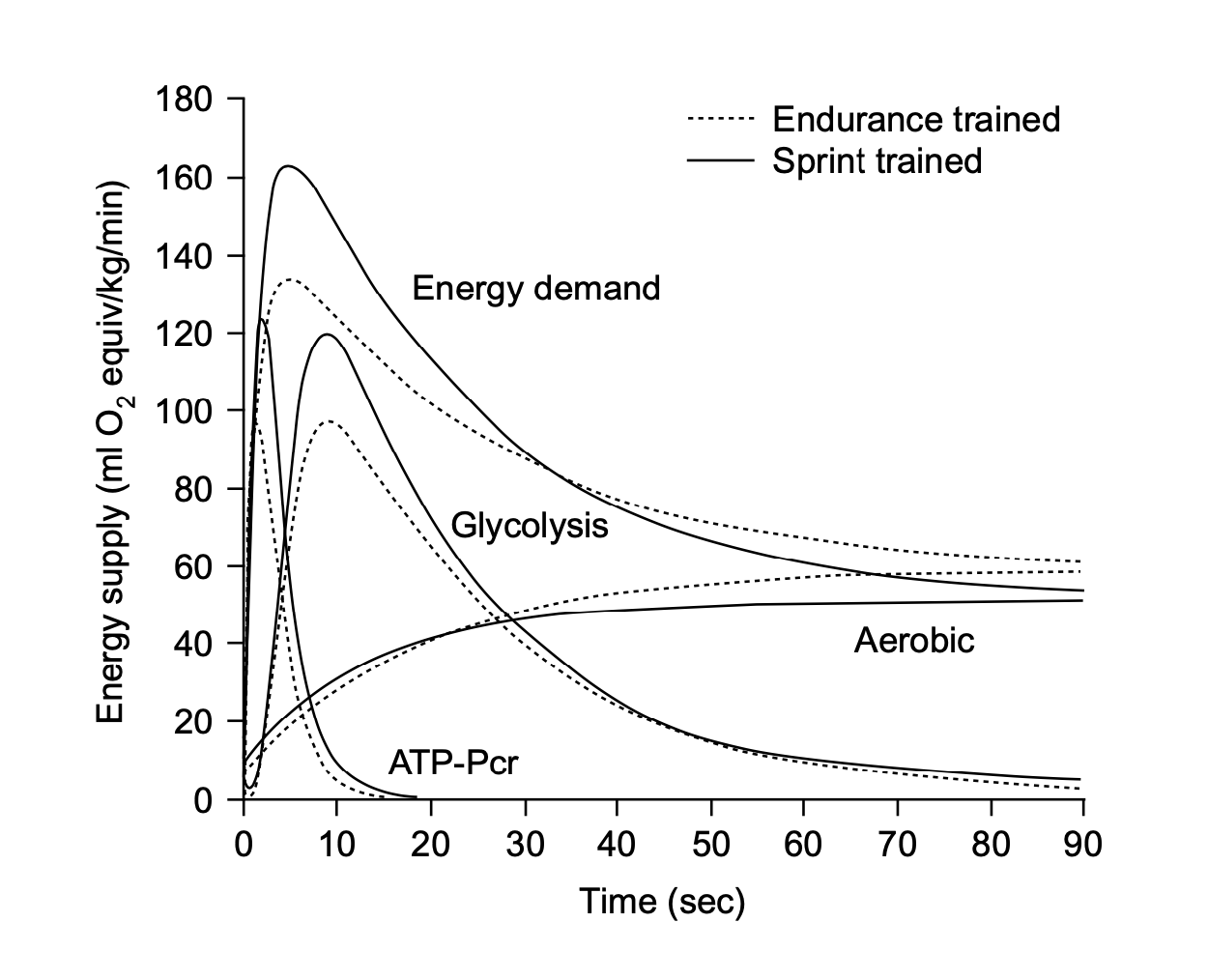 VO2 Kinetics Explained For Cyclists High North Performance VO2 Kinetics Explained For Cyclists High North Performance