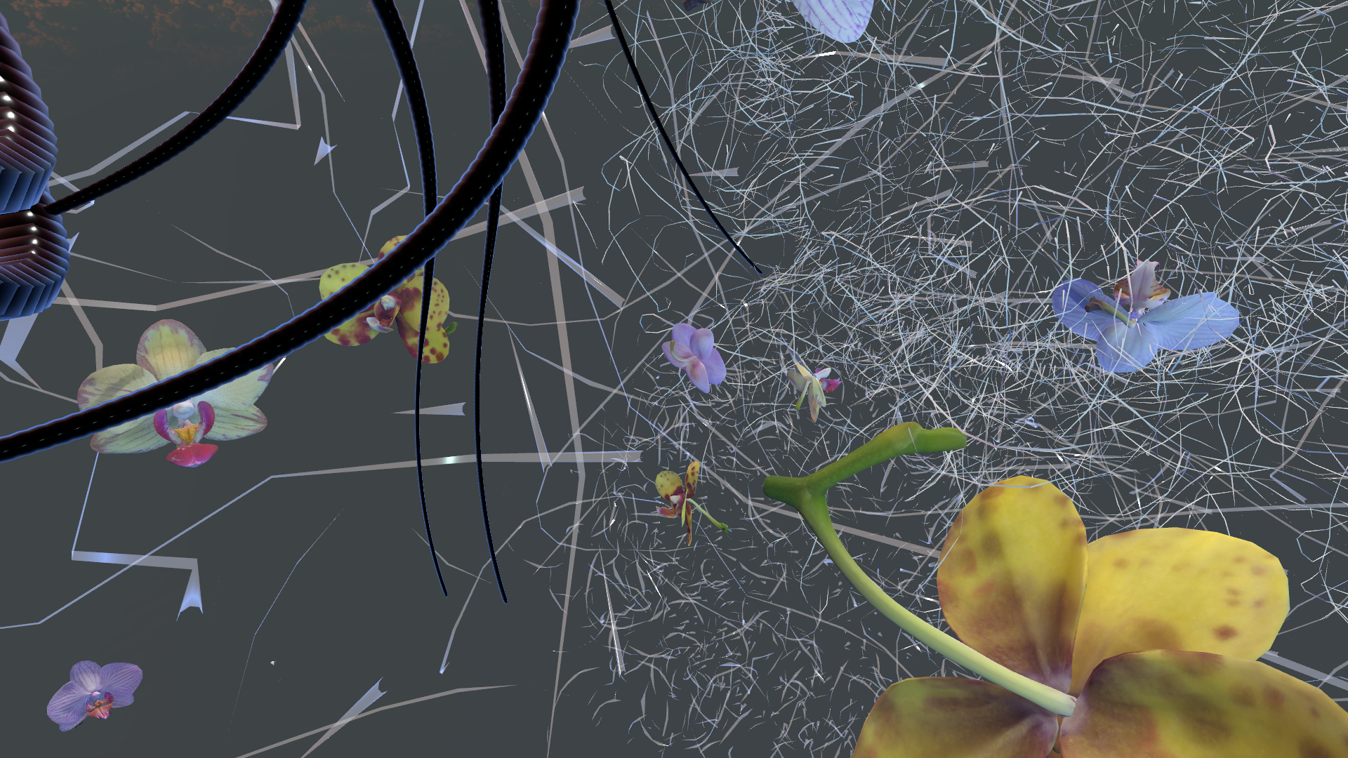 Genesis — Tanja Vujinovic