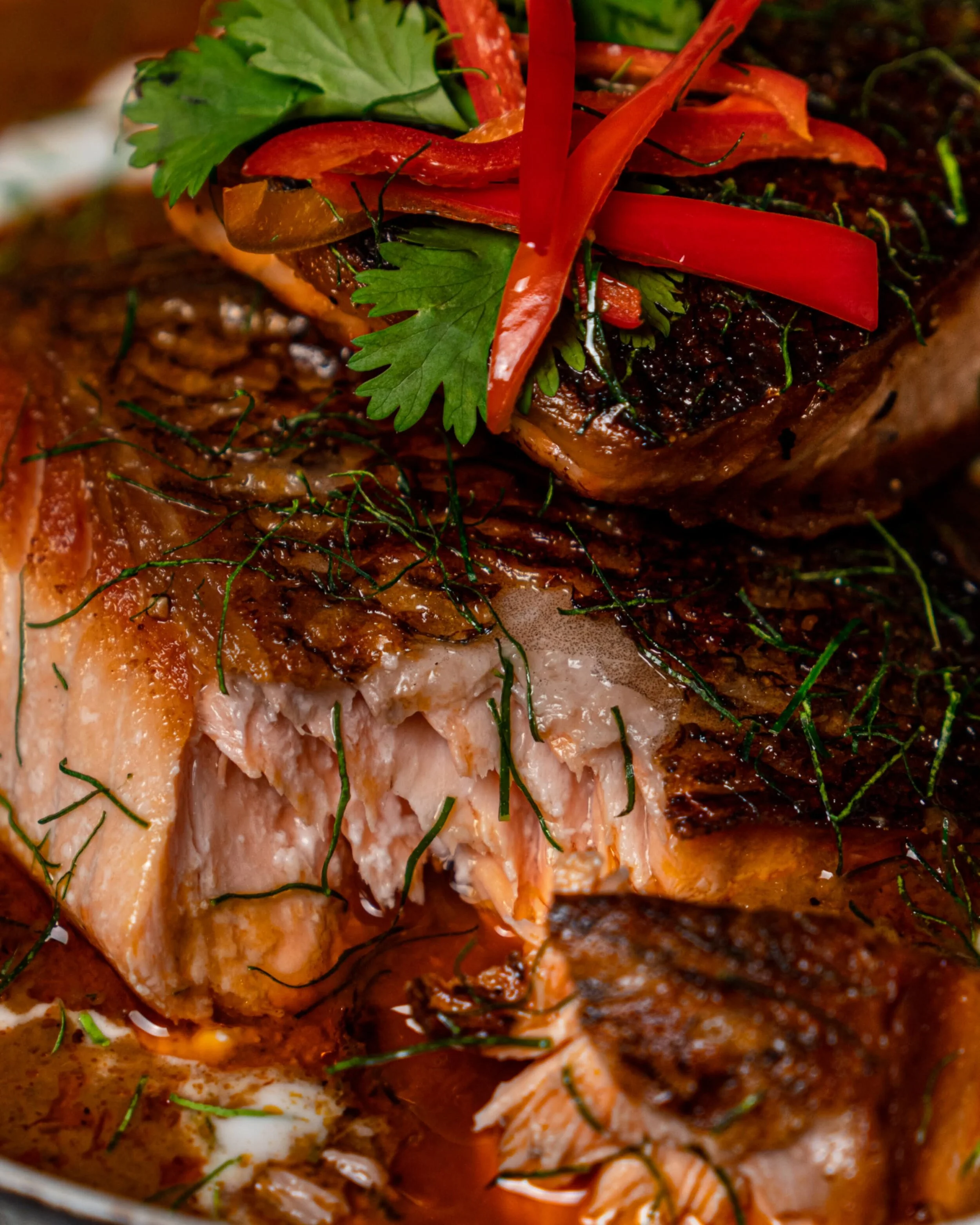 Choo Chee Curry Salmon — Kvaroy Arctic