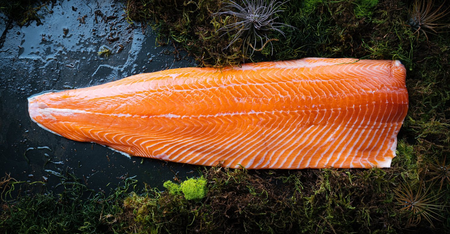 10k OTR Salmon Fillet — Kvaroy Arctic