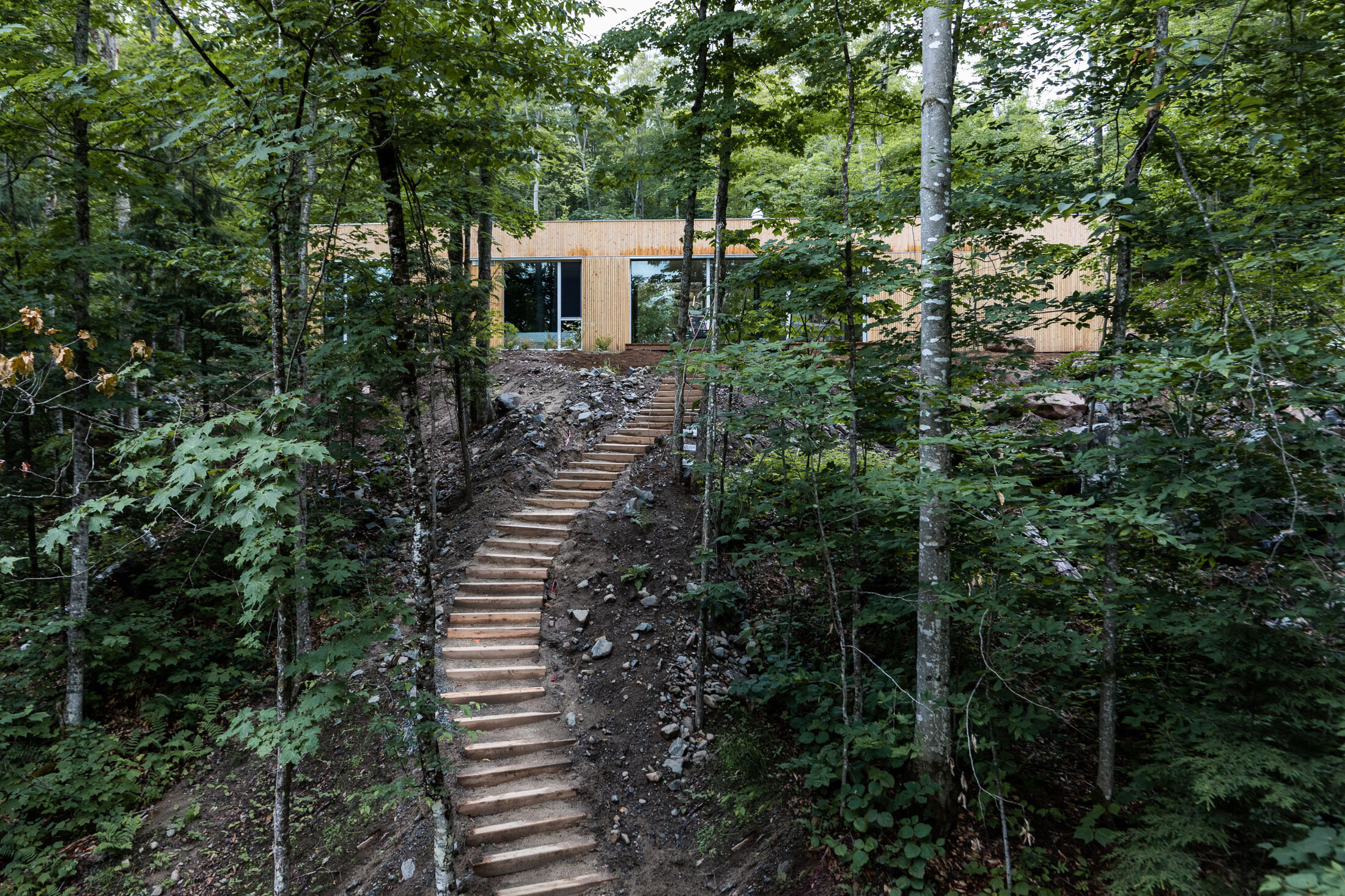 hinterhouse — hinter