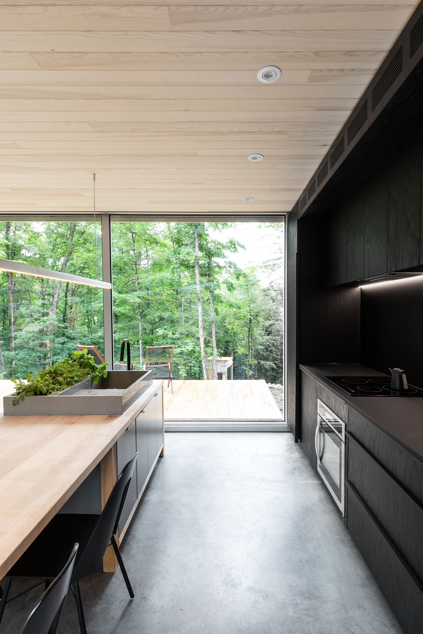 hinterhouse — hinter