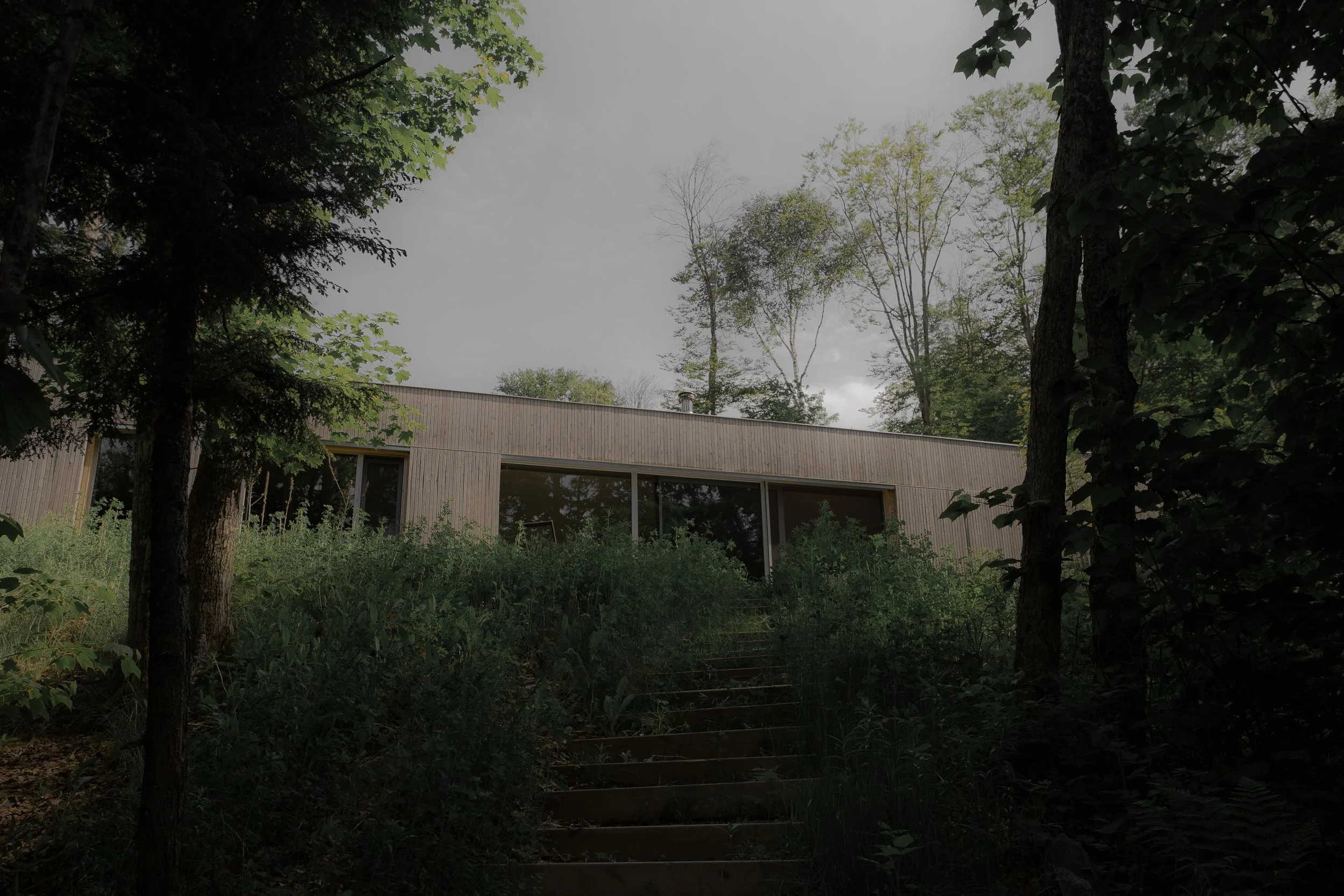 hinterhouse — hinter