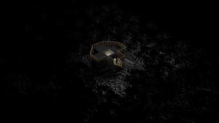 hinterhouse — hinter