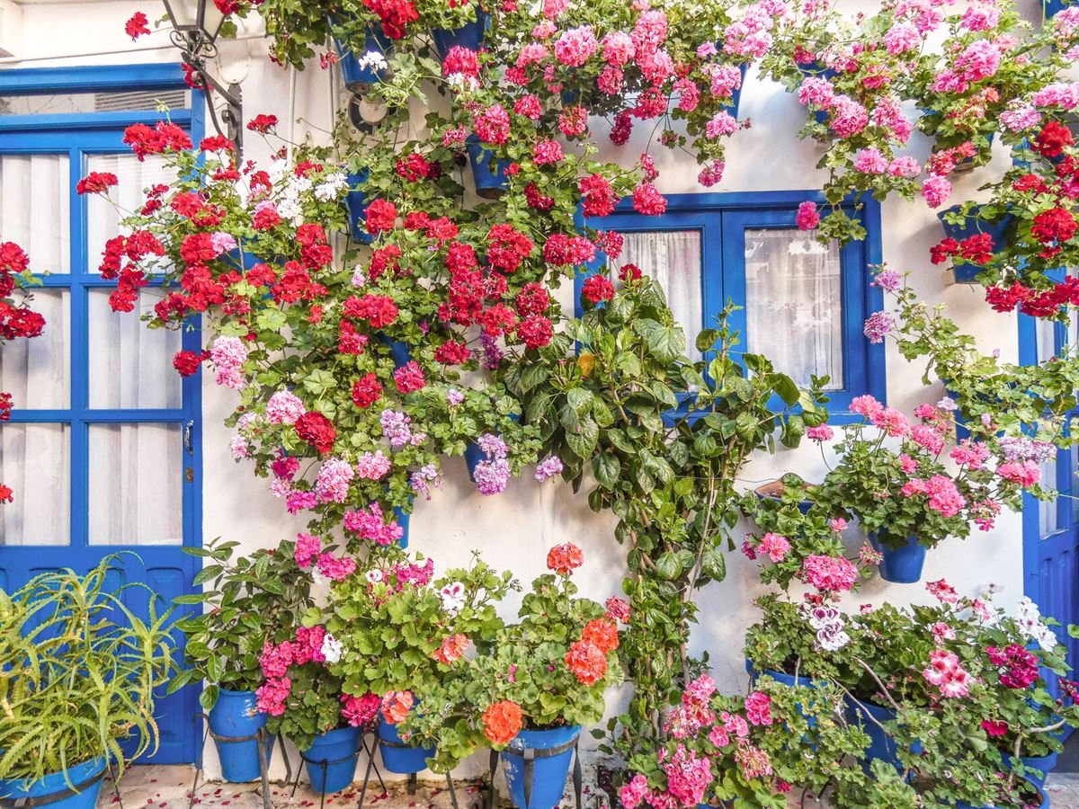The Best of the South of Spain — Spain Less Traveled