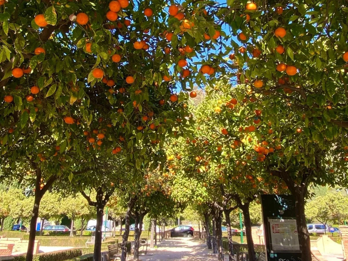 The Ultimate Malaga Travel Guide — Spain Less Traveled