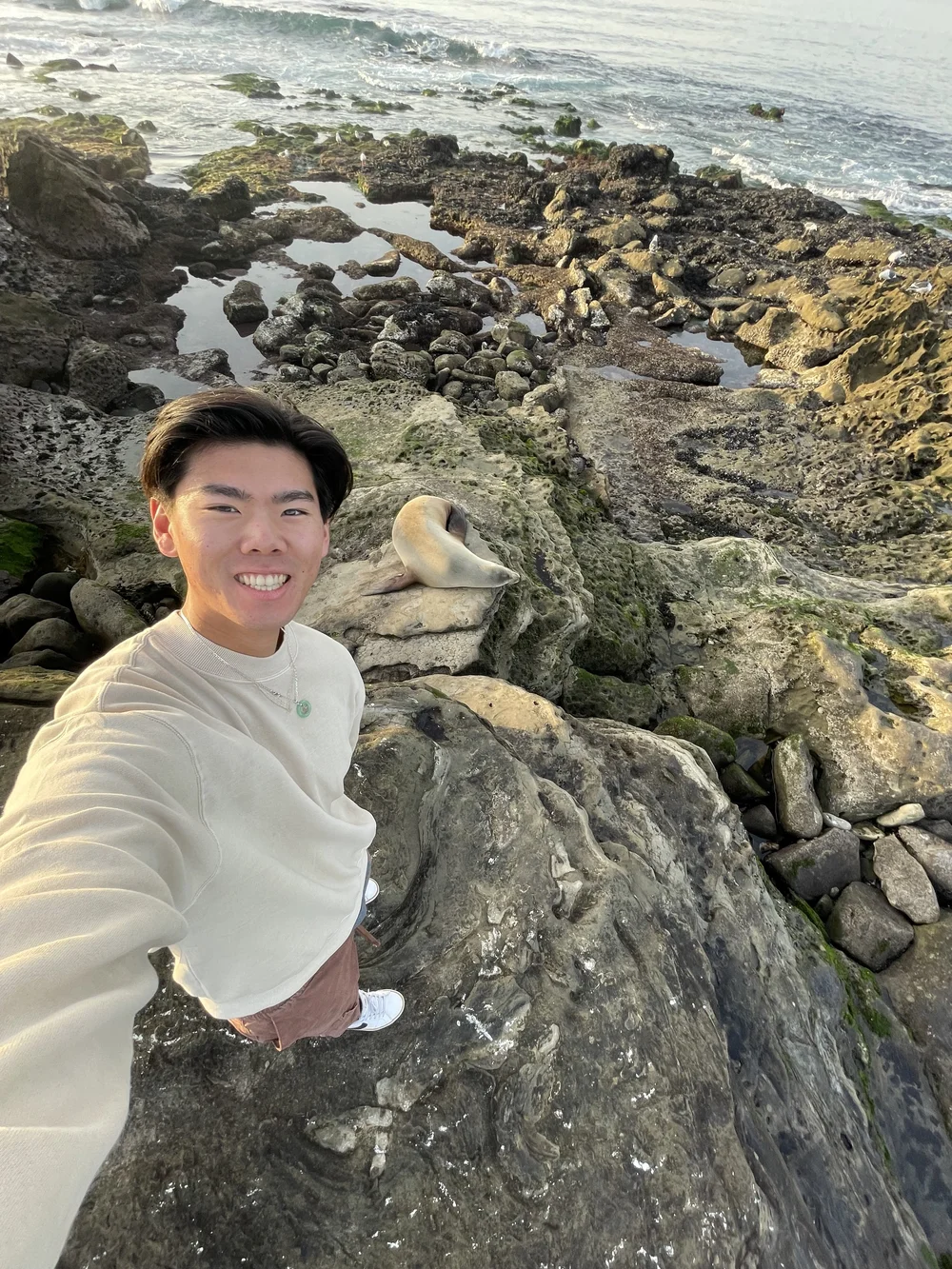 Current Members — Maynard Research Group