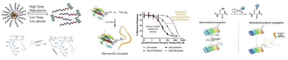 Maynard Research Group