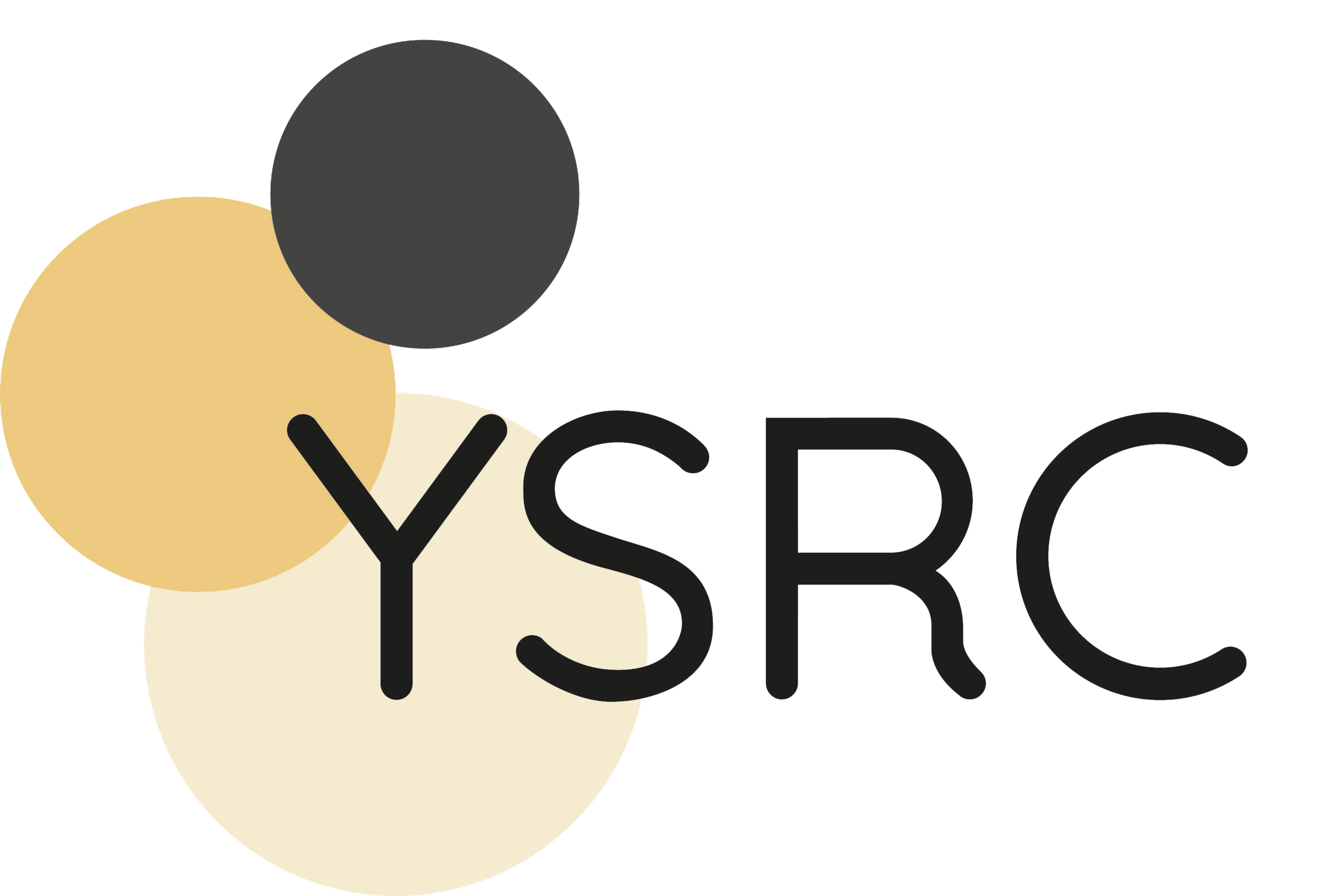 Youth Suicide Research Consortium