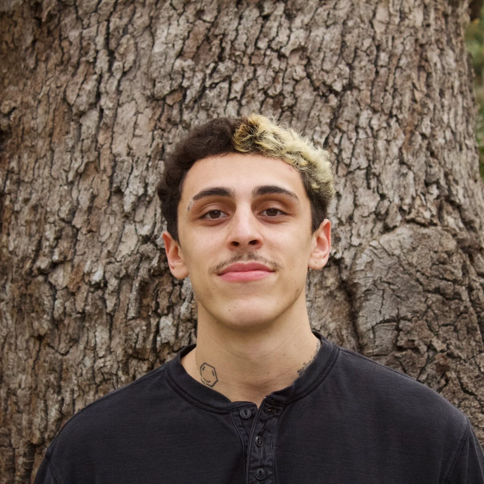 The Team — The Stoltz Group