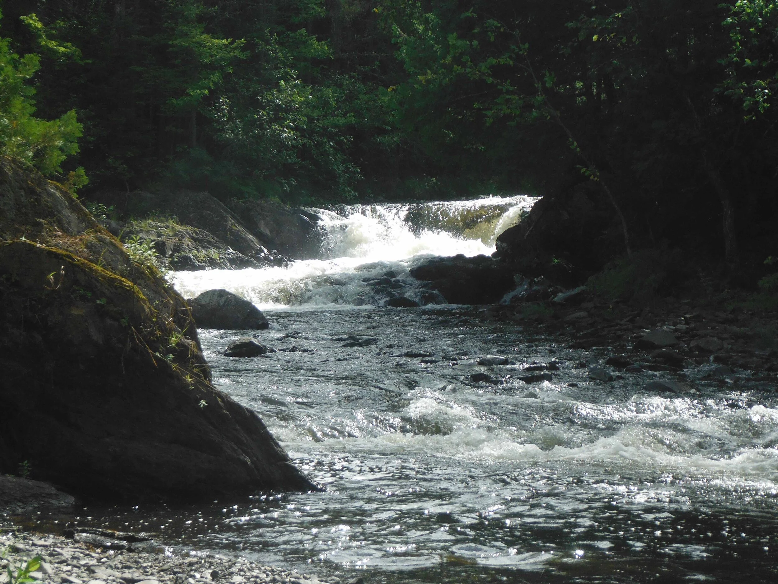 Guided Fishing Trips on the Androscoggin River - MAINE FLY GUIDE