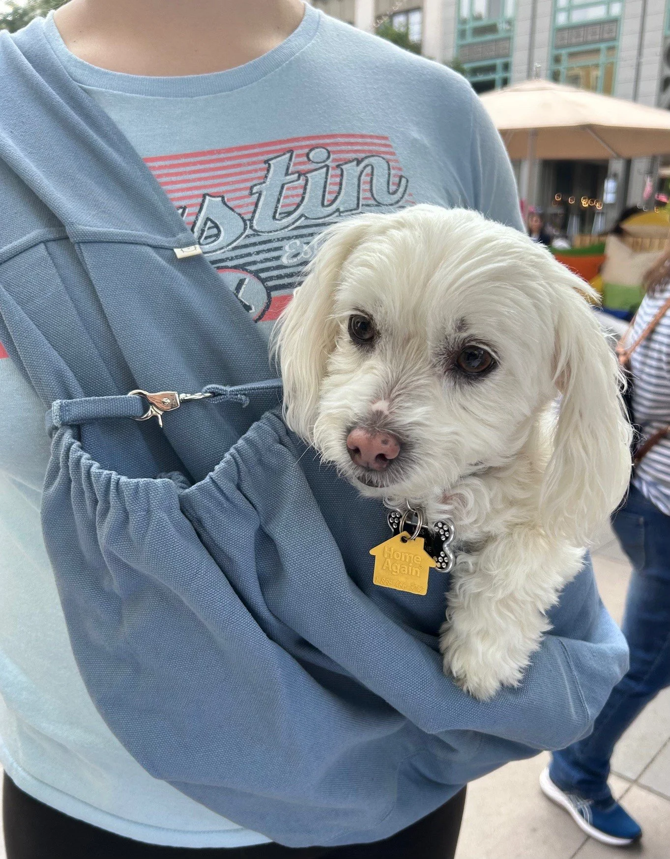 MARGO | The Chic Dog Sling