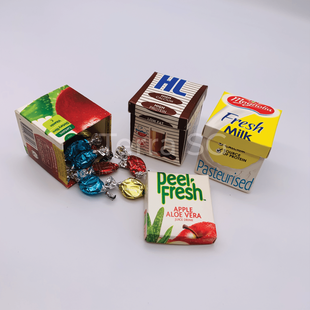 Upcycling Workshops — Terra SG