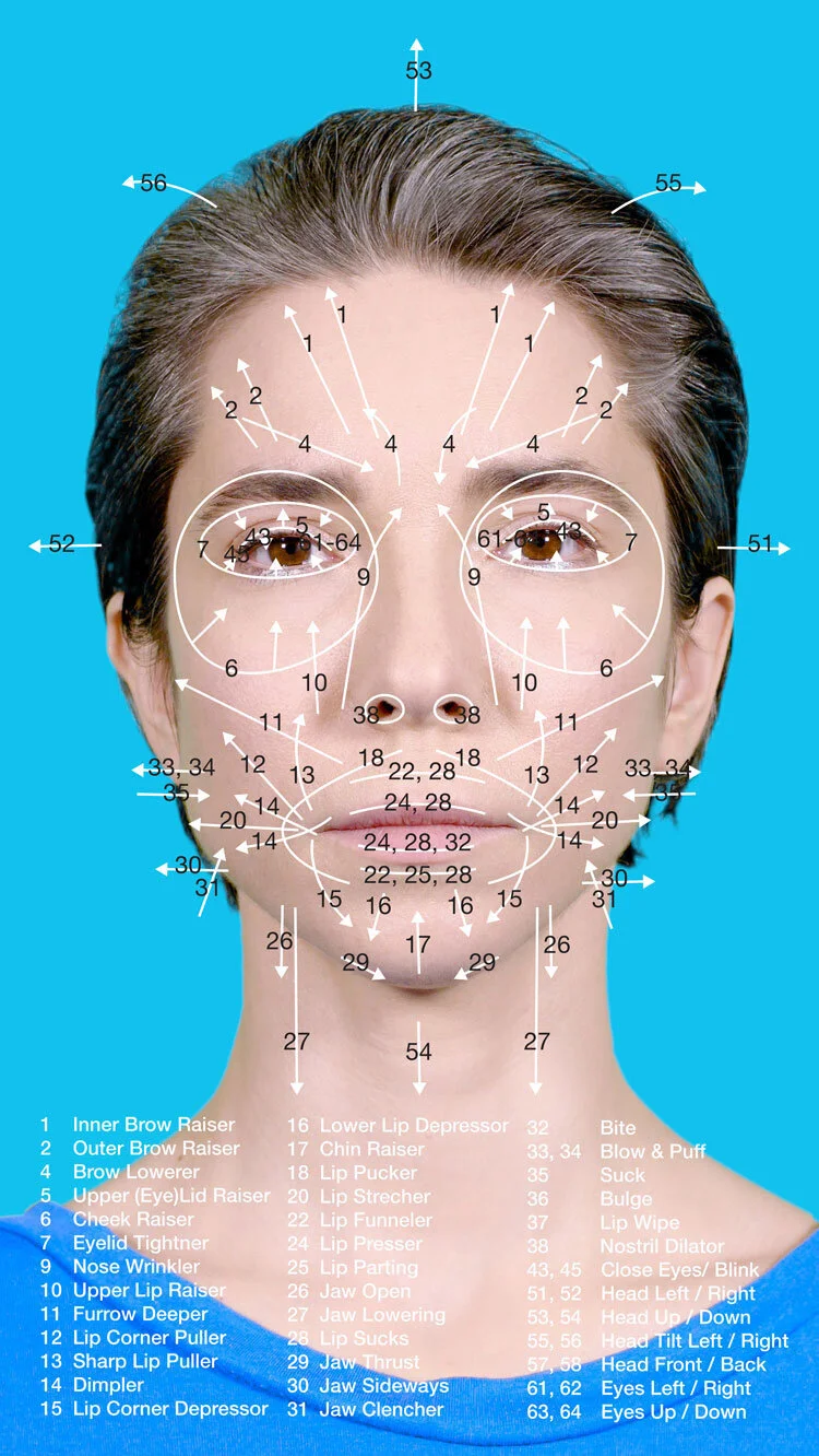 Ekman Facial Expressions Chart