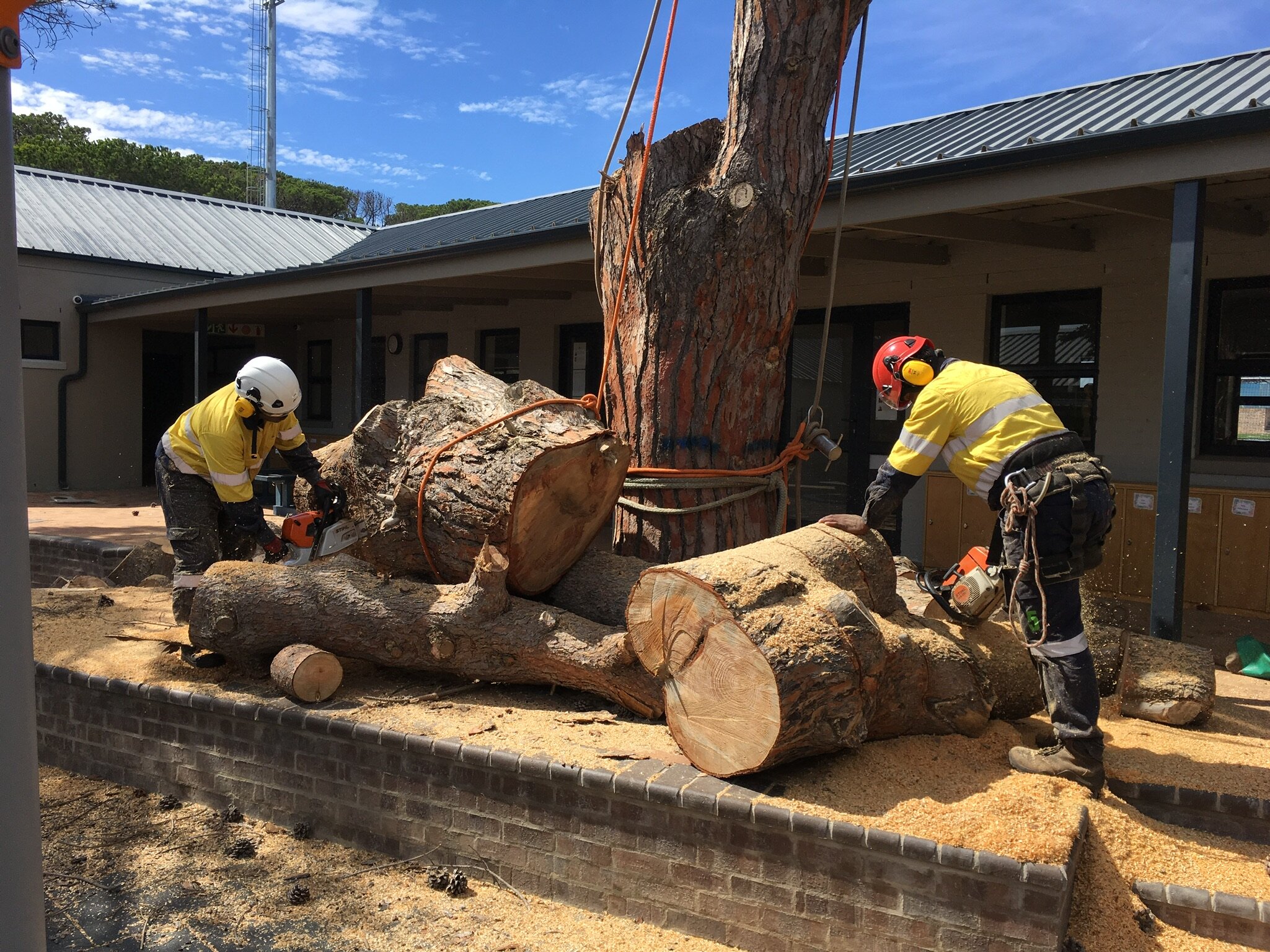 CVES Constantia Valley Environmental Services