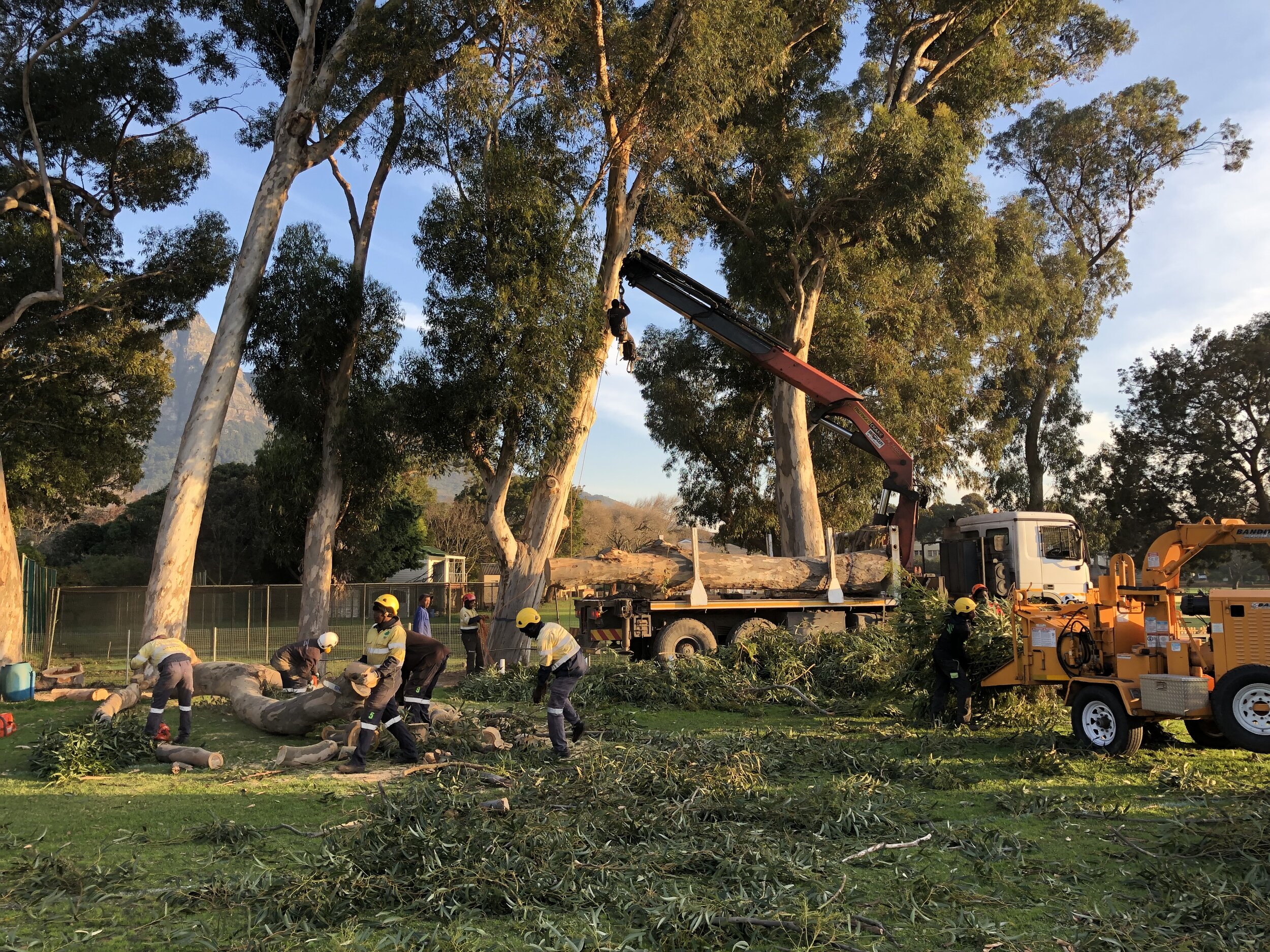 CVES Constantia Valley Environmental Services