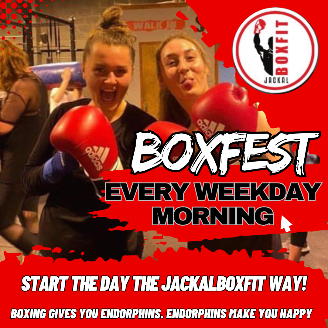 BoxFest — JackalBoxfit