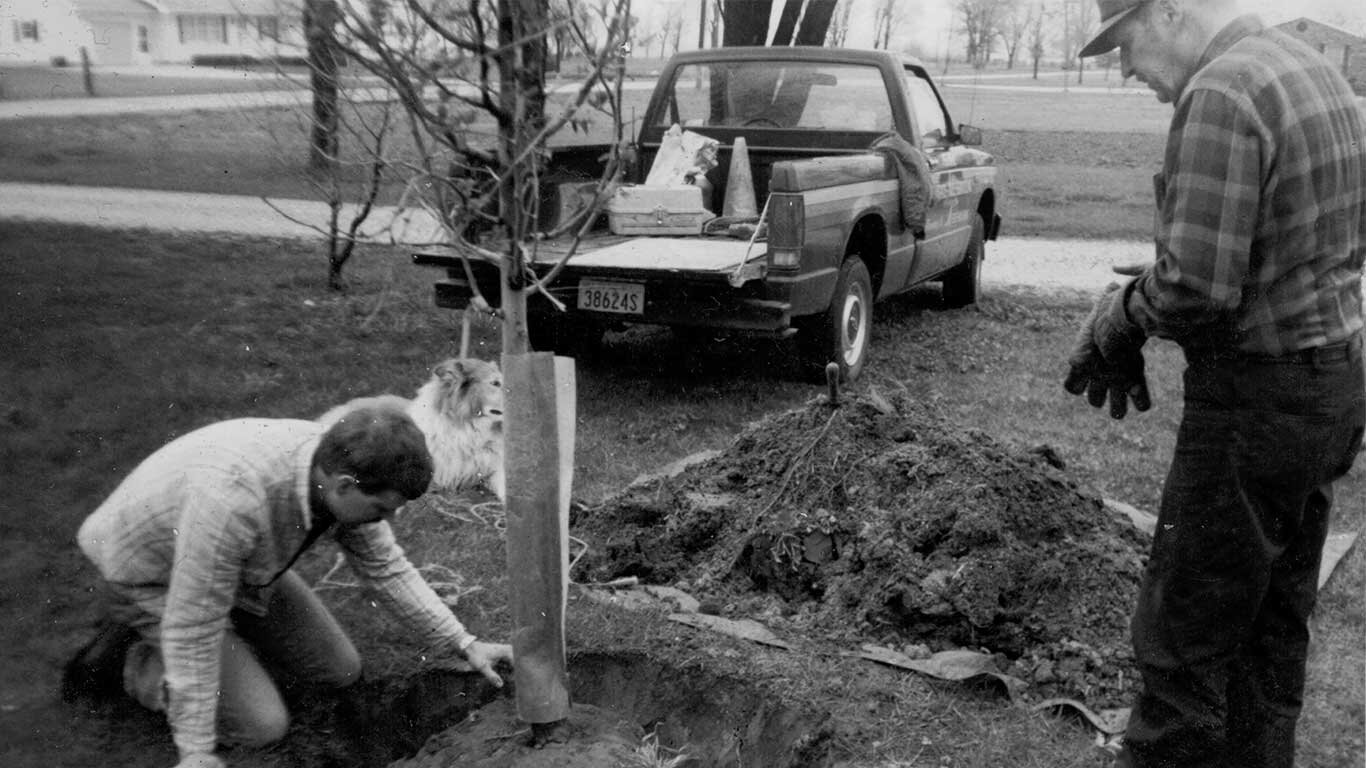 About Us — The Halter Group