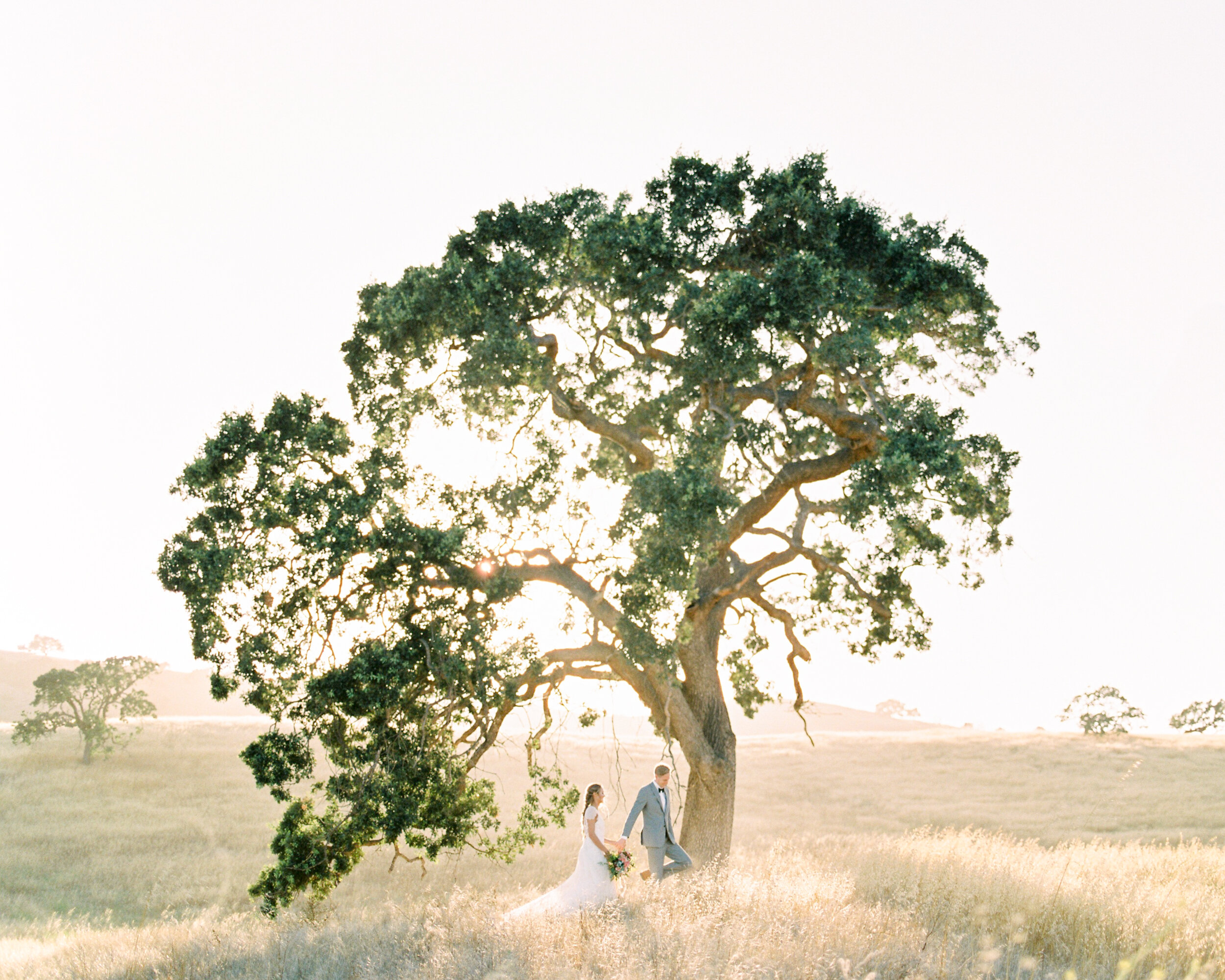 Saskatoon Wedding Photographer - Mason Neufeld Photography