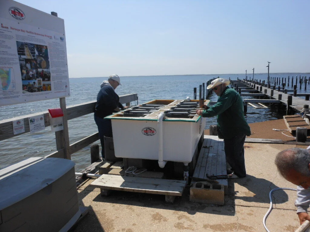 Events — Island Beach Nature Programs