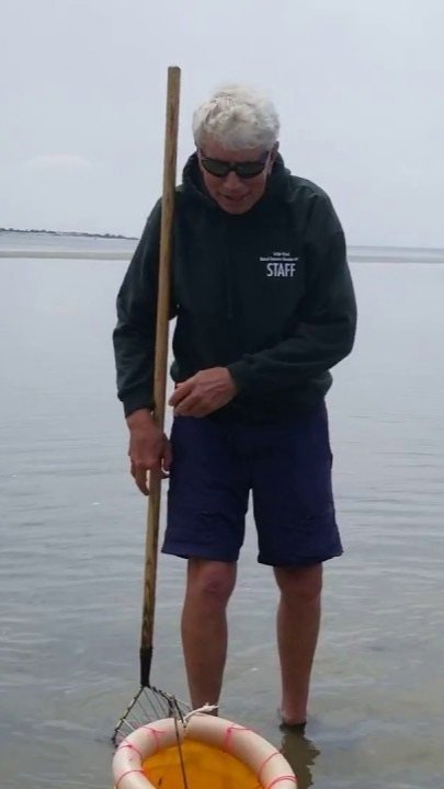 Clamming by Kayak — Island Beach Nature Programs