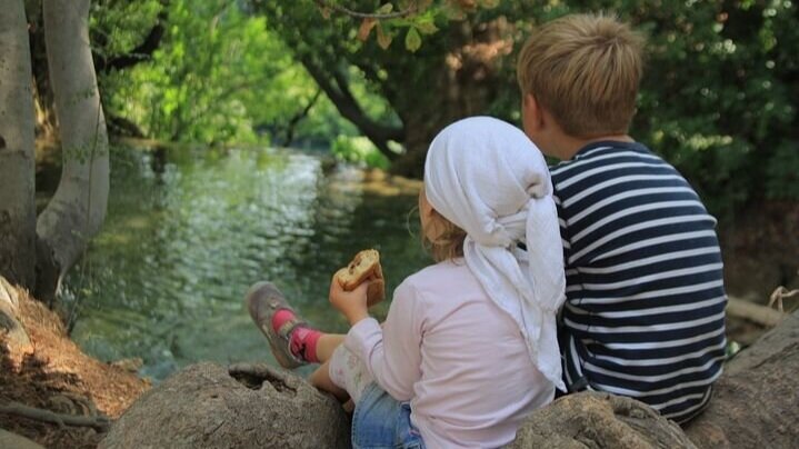 Pooh Sticks - How to play — Ready Set Adventure Box