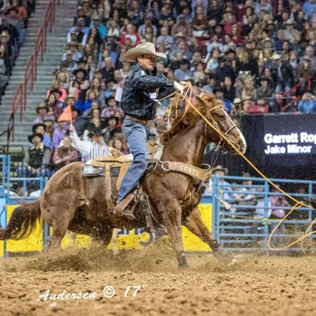 Central Washington Equine Hospital