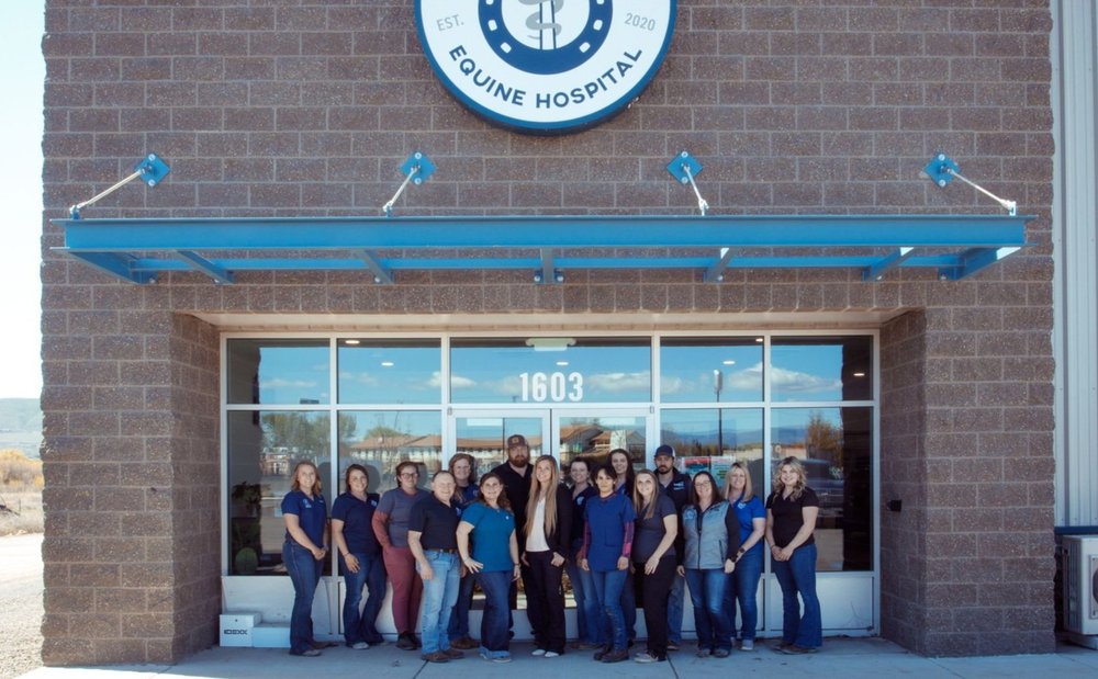 Equine Veterinarians and Staff — Central Washington Equine Hospital