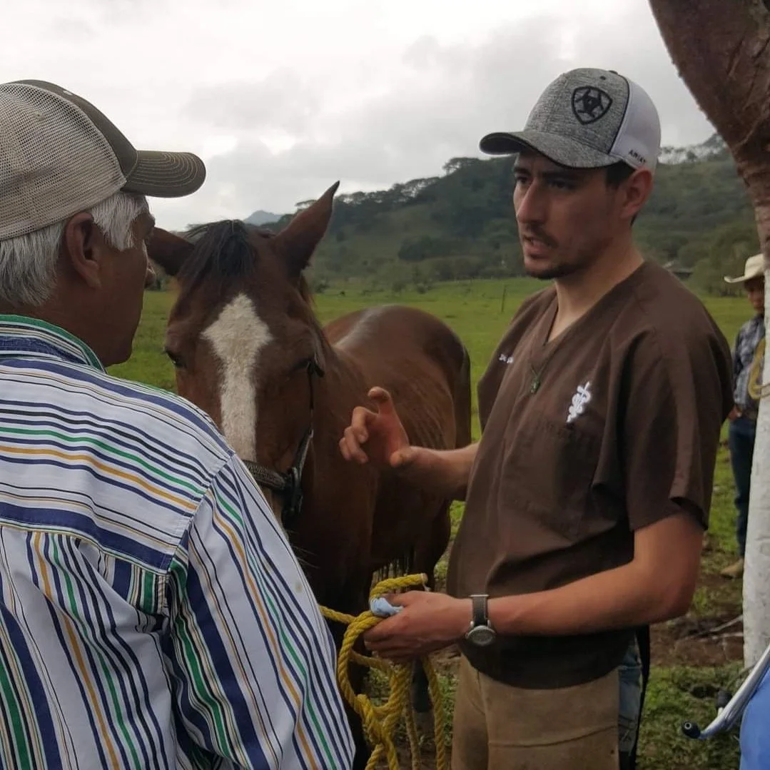 Equine Veterinarians and Staff — Central Washington Equine Hospital