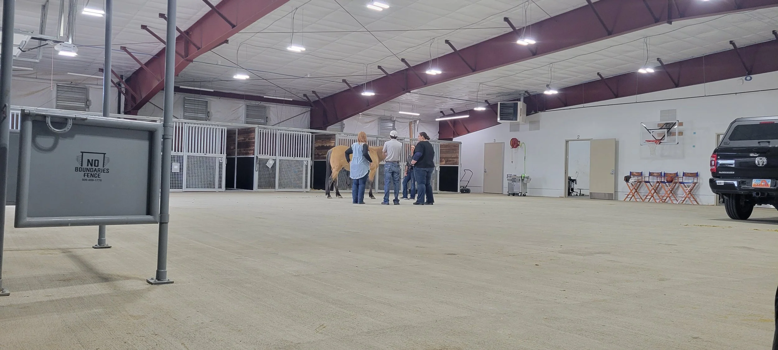 Services — Central Washington Equine Hospital