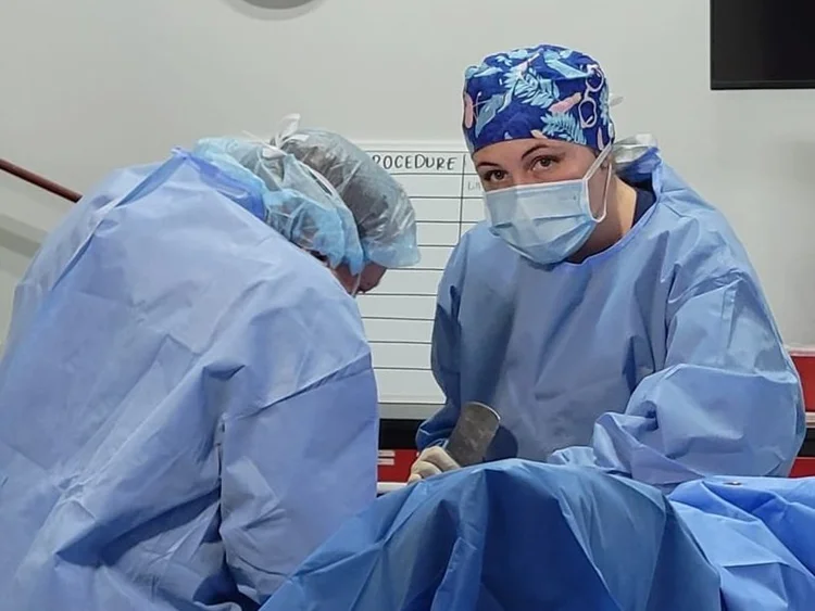 Central Washington Equine Hospital