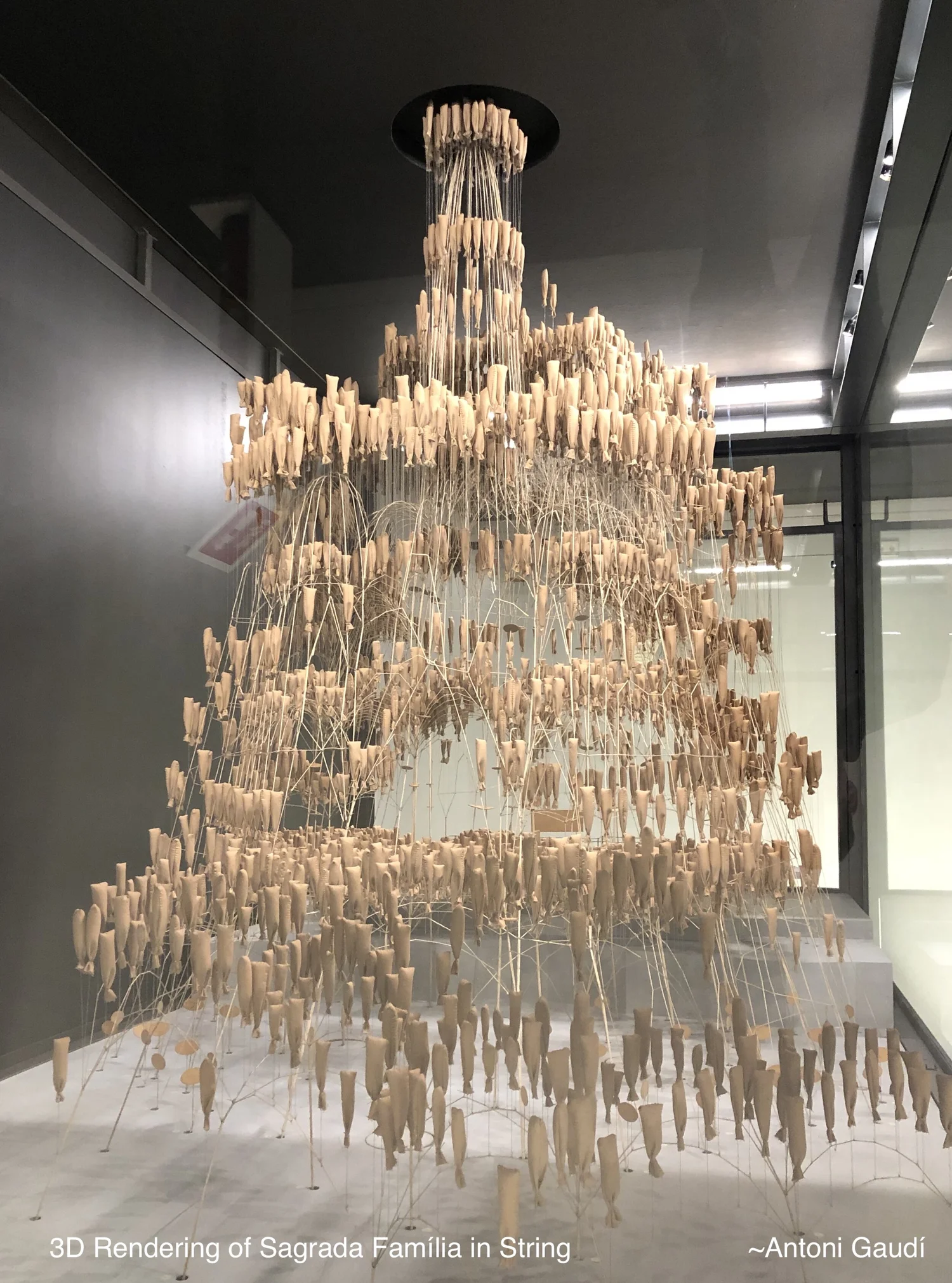 Group Members — Wilson Lab