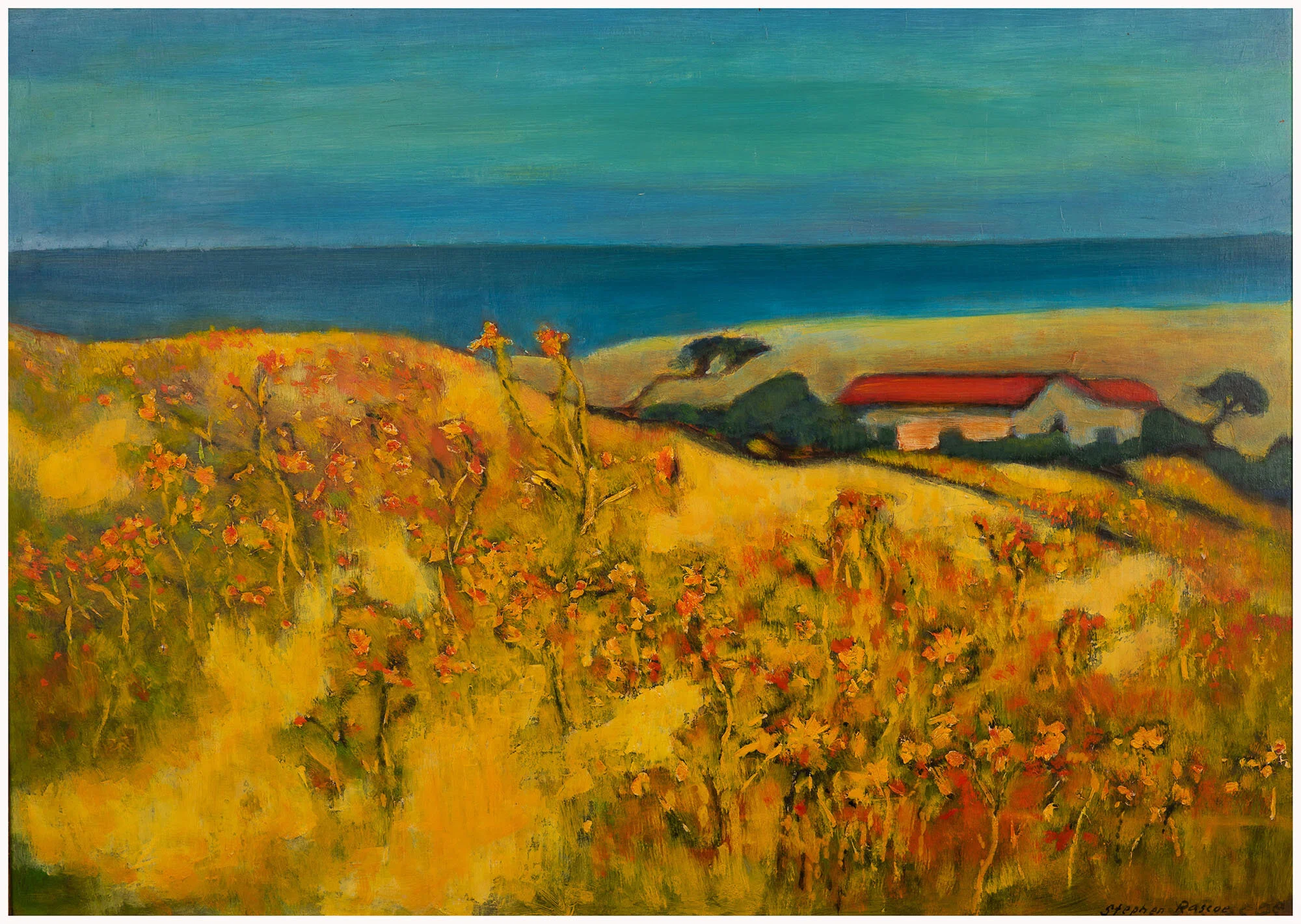 Stephen Rascoe — Nuevo Santander Gallery