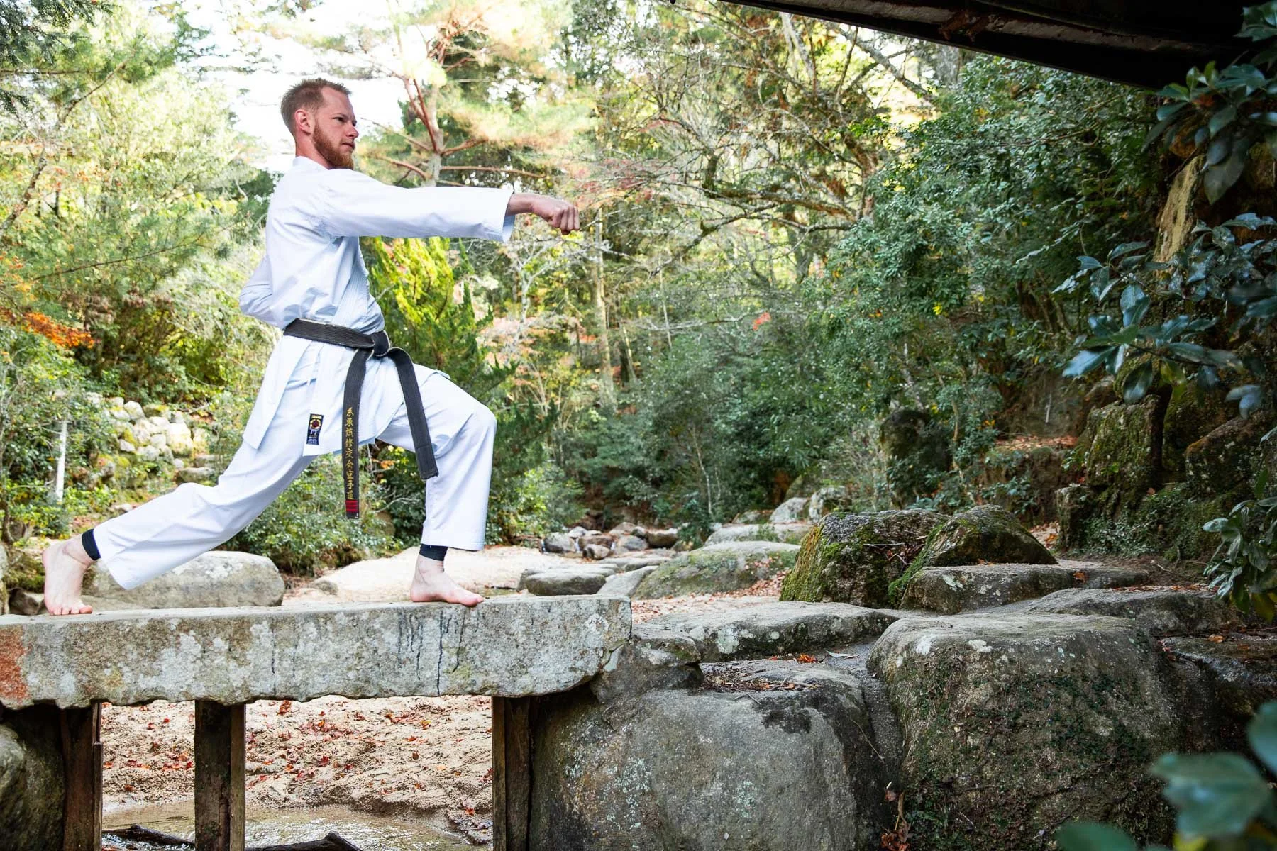 Preparing for your Karate Grading — KSK Dojo's