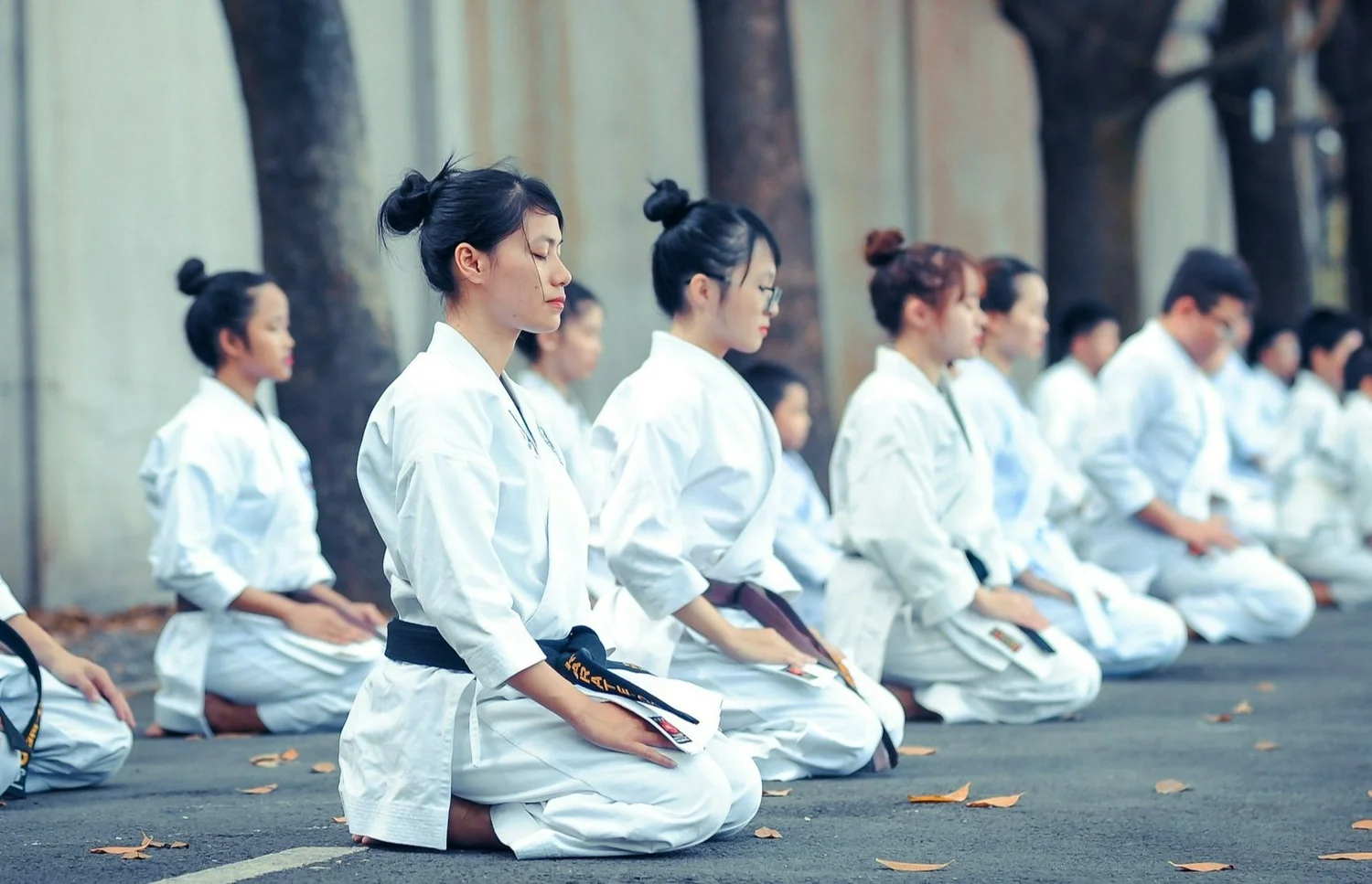 KSK Dojo's