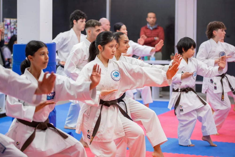 KSK Dojo's