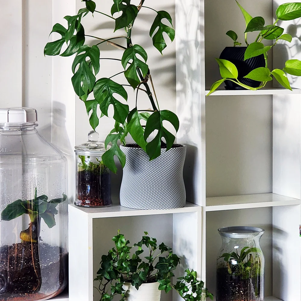 100% Recycled Planters — The Rogerie Design