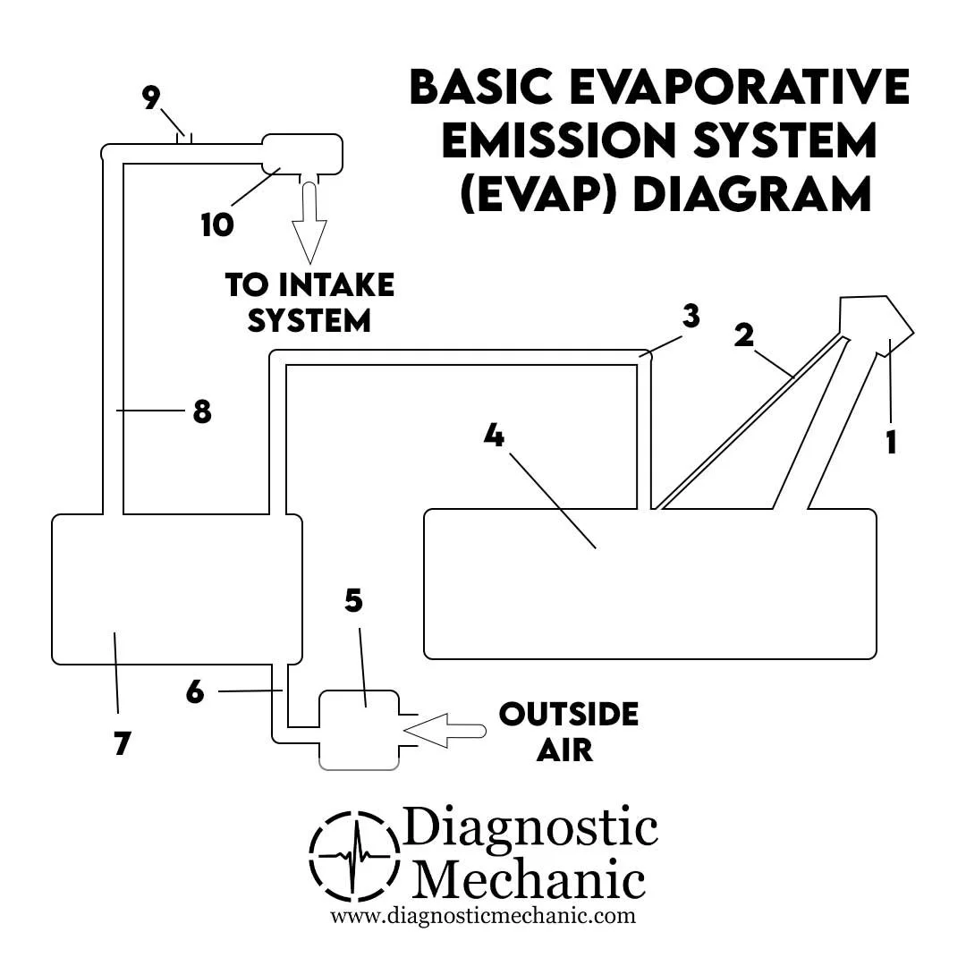 Evap Valve System Evap Canister Purge Valve Location Guide More PQRB