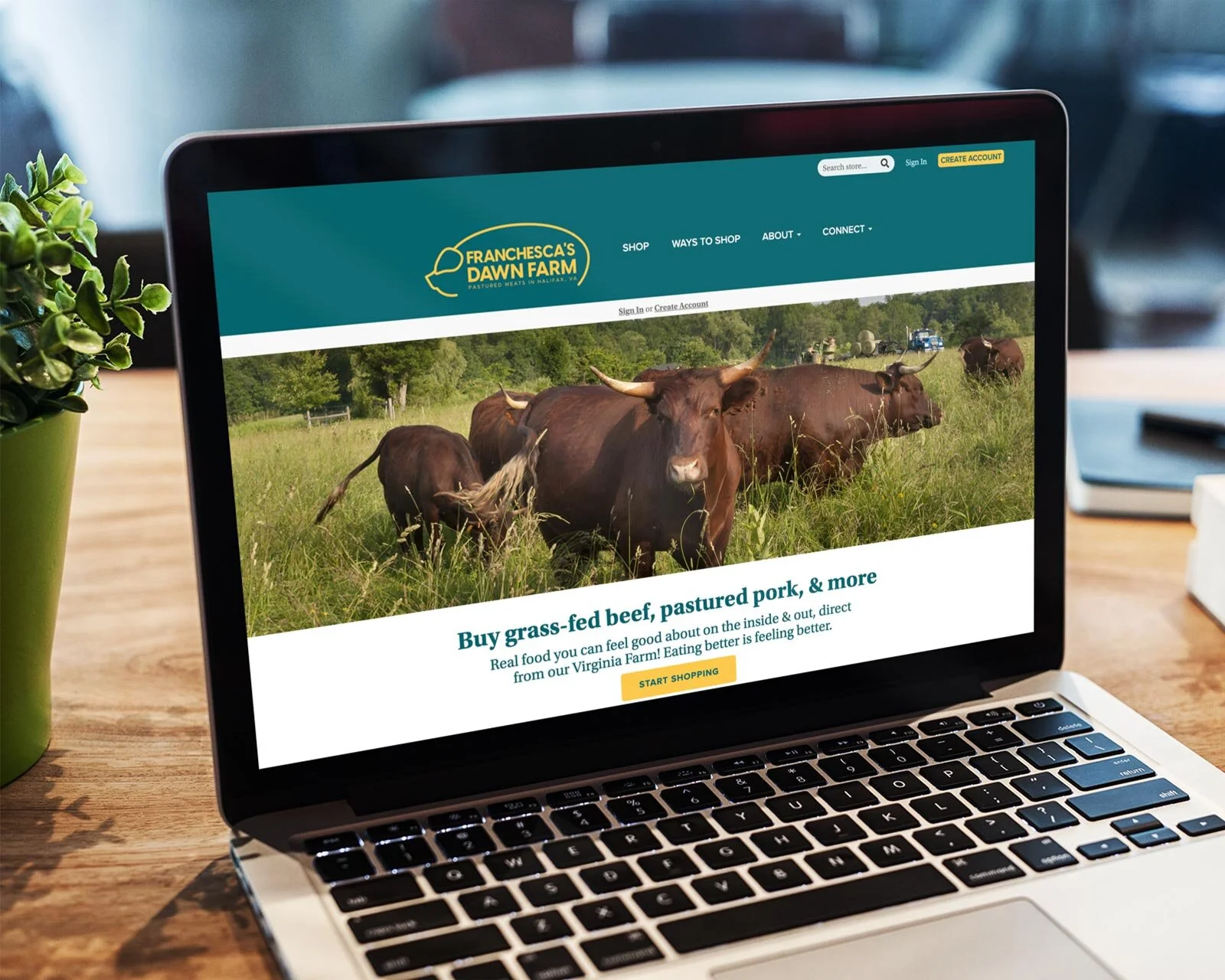 Grapevine Local Food Marketing - Farm Websites & Farm Marketing