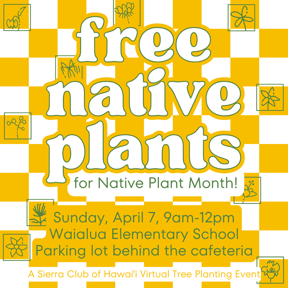 Free native plants for Native Plant Month — Sierra Club of Hawaiʻi