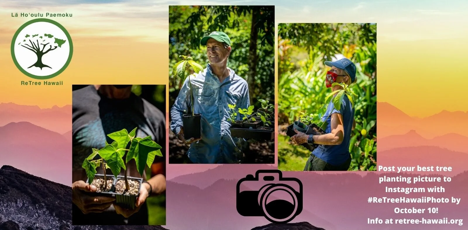 ReTree Hawaiʻi Tree Planting Soon! — Sierra Club of Hawaiʻi