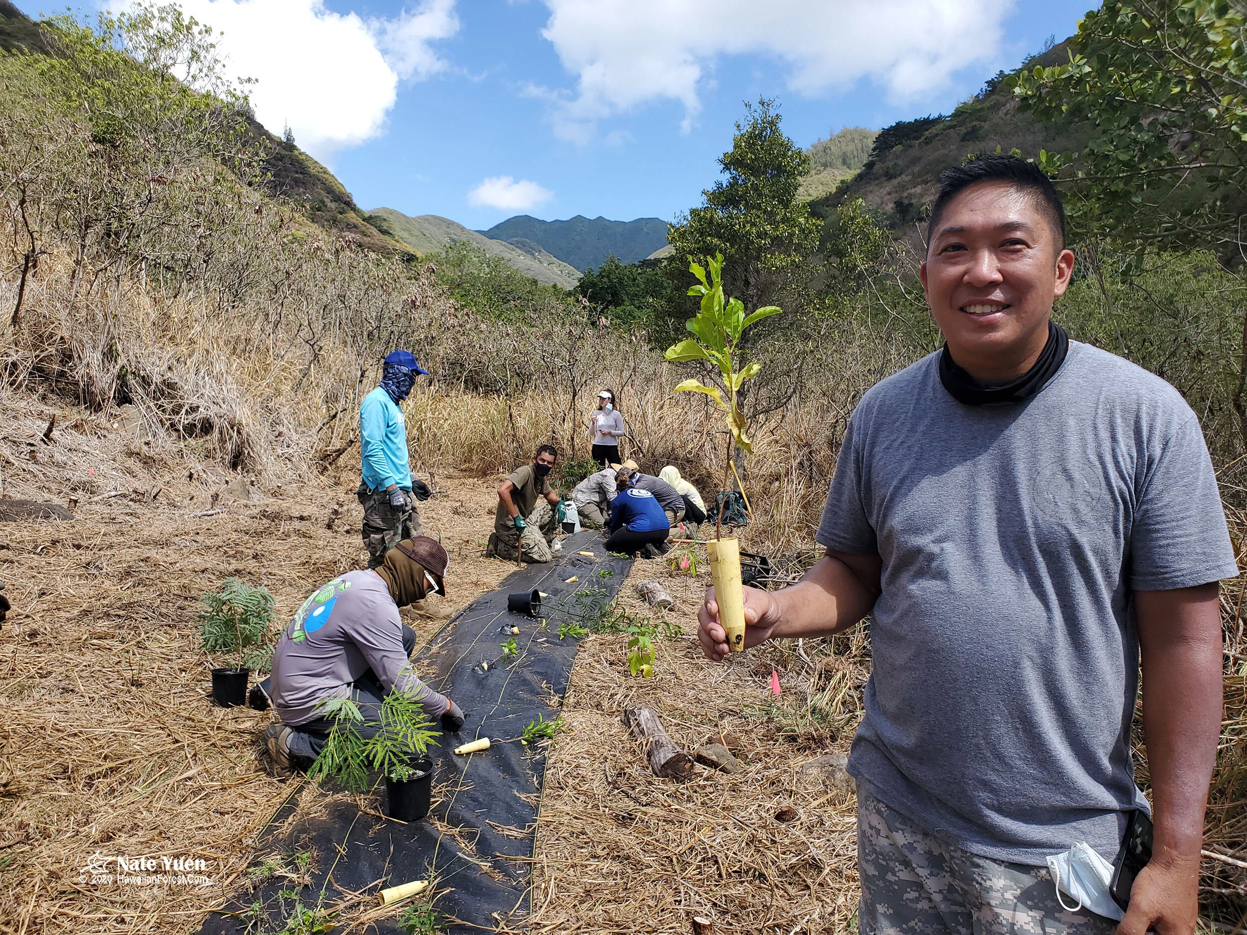 New! Join the Virtual Tree Planting Program — Sierra Club of Hawaiʻi