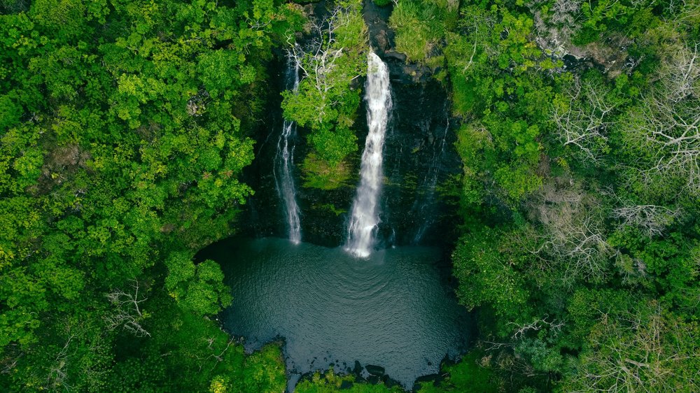 E ola i ka wai! Celebrate World Water Month by taking action to protect ...
