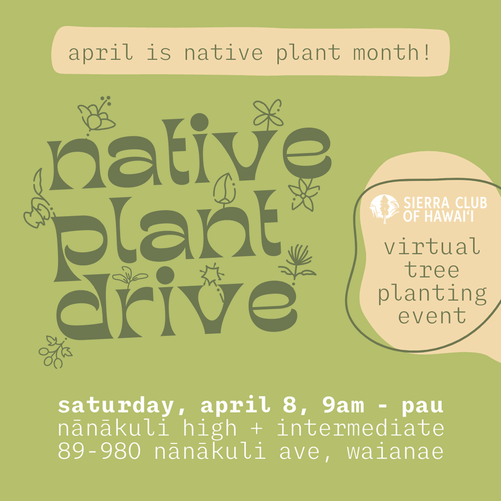 Get your free native plant for Native Plant Month — Sierra Club of Hawaiʻi