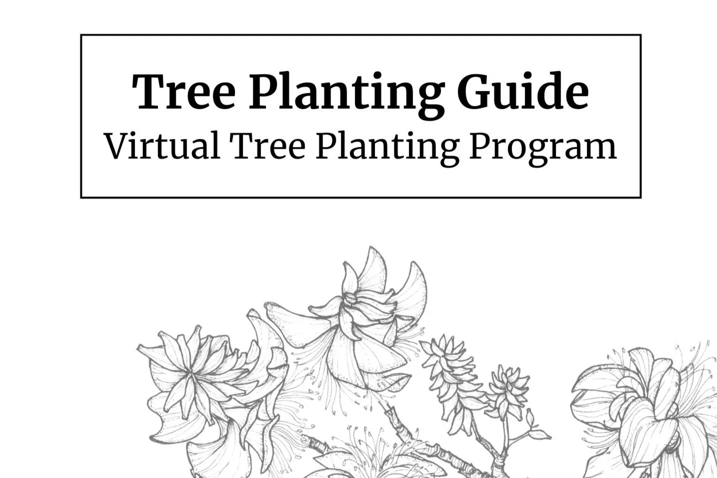 Virtual Tree Planting — Sierra Club of Hawaiʻi