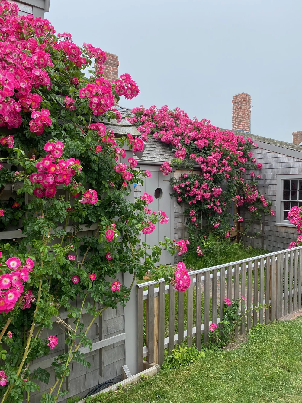 a nantucket summer — anantucketsummer
