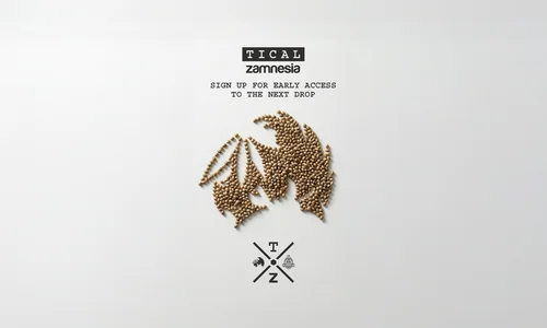 TICAL Seeds — TICAL™ - Official Website - Taking Into Consideration All ...